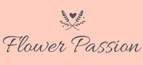 Kreativster Online-Shop für Trockenblumen. – www.Flower-Passion.com